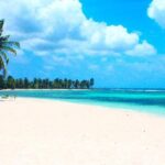 Saona Island VIP Full Day All Inclusive Excursion - Who This Tour Is Best For
