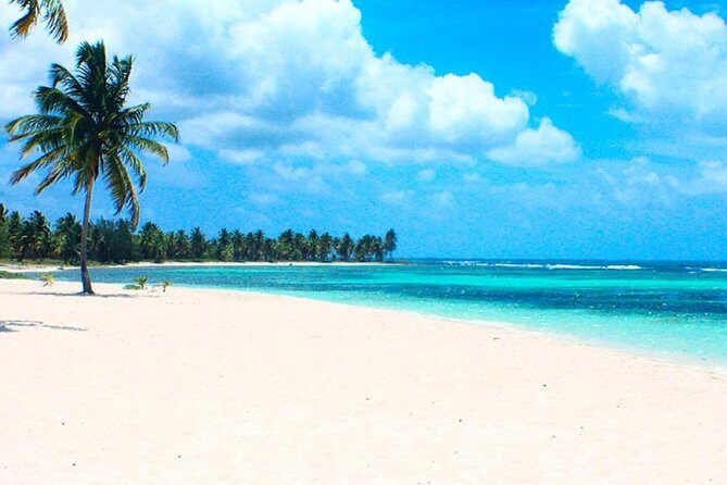Saona Island VIP Full Day All Inclusive Excursion - Who This Tour Is Best For