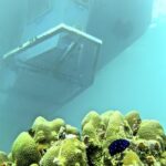 Saona Island With Semi Underwater And Snorkel From Bavaro Punta Cana - The Experience in Detail