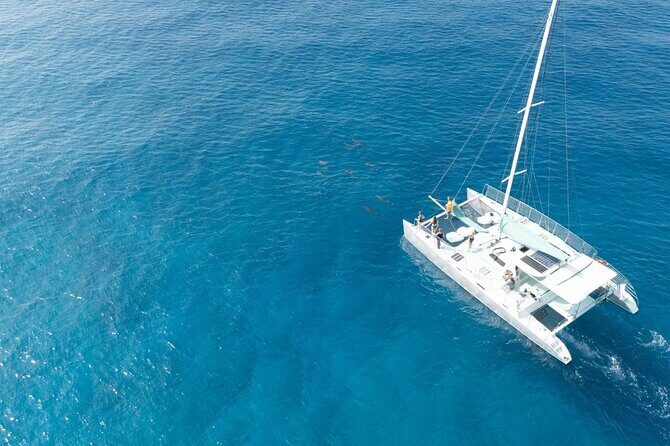 Saona Paradise Island : Catamaran, Natural Pool and Typical Lunch - Practical Details and Tips