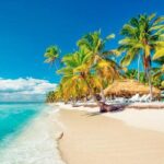 Saona Platinum Beach Day - What’s Included and What’s Not