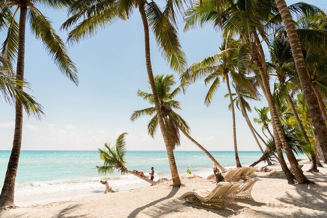 Saona Snorkel Private Cruise with Food and Drinks - The Value of the Tour