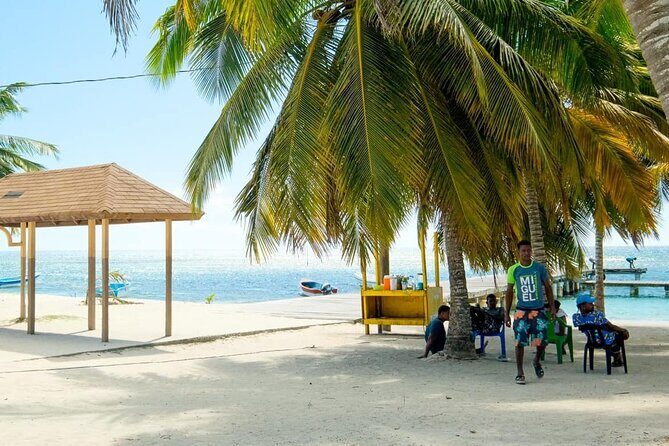 Saona VIP 3 Beaches, Natural Pool & Mano Juan Turtle Sanctuary - Authentic Experiences and What Travelers Say