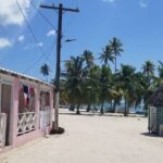 Saona VIP Mano Juan and Three Beaches Tour - Who is This Tour Best For?