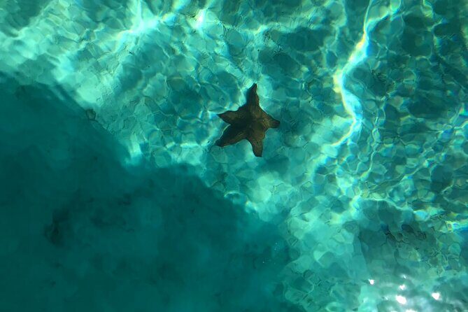 Saona Vip with three Beaches and Lunch - Practical Tips for Travelers