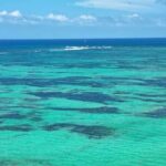 Saône Catamaran Island - speedboat, open bar and lunch - Who Will Love This Tour?