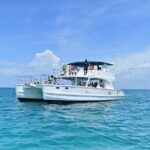 Saône Island: Tropical Paradise with Snorkeling and Lunch Included - Practical Details and Insights