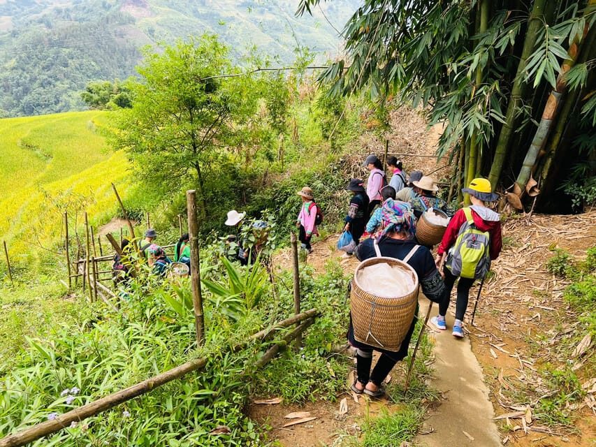 Sapa 1-Day Trekking Tour: Rice Terraces & Villages - Key Points to Remember Before Booking