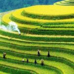 Sapa 2 Days 1 Night Homestay Motorbike Tour - The Real Value of the Tour