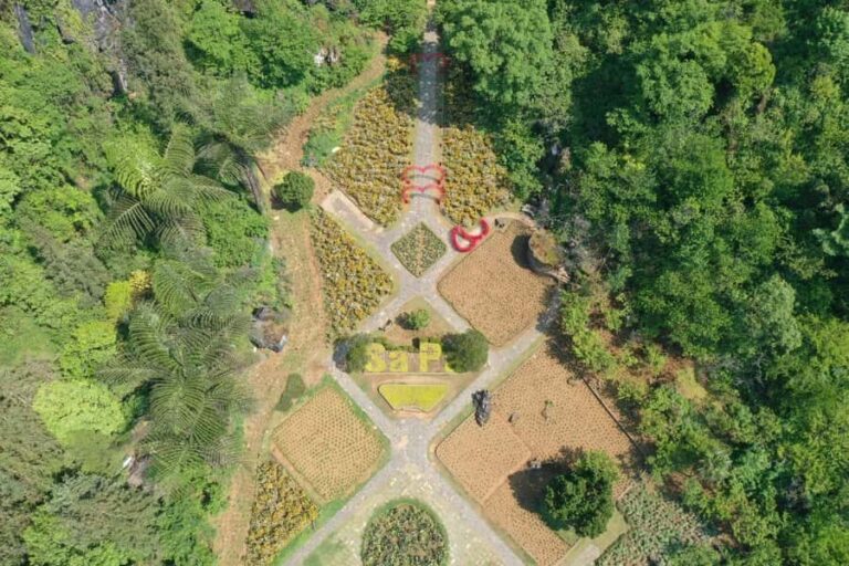 Sapa: "Dragon Jaw Mountain" Panorama Experience - The Orchid Garden — A Floral Wonderland