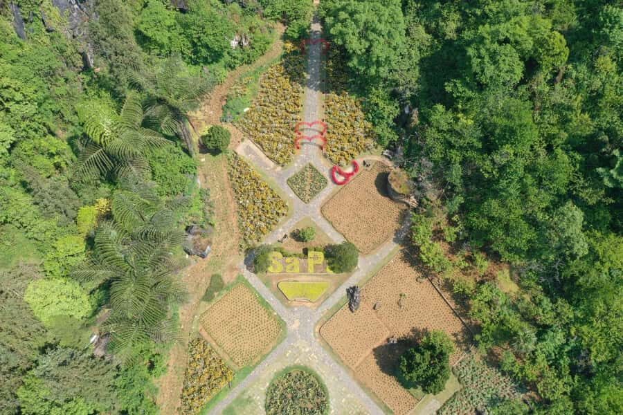 Sapa: "Dragon Jaw Mountain" Panorama Experience - The Orchid Garden — A Floral Wonderland