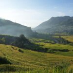 Sapa Half Day hard trekking villages trip with lunch & guide - What Makes This Tour Stand Out?