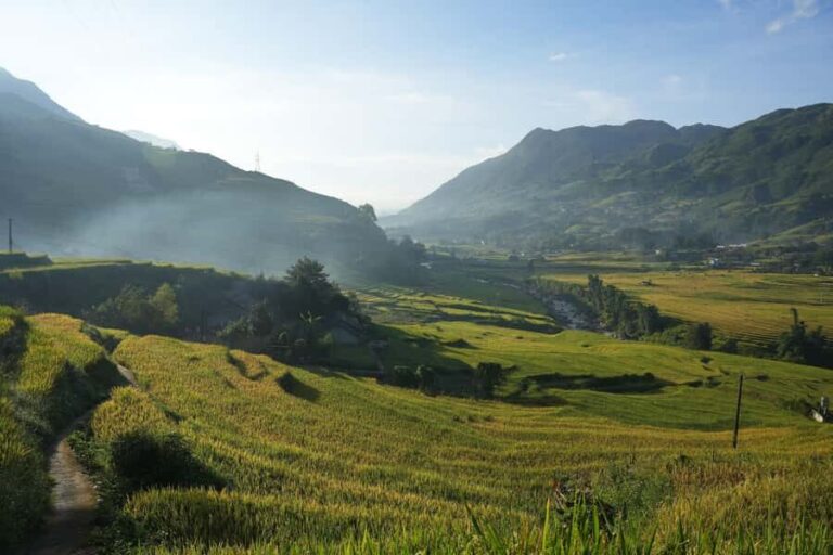Sapa Half Day hard trekking villages trip with lunch & guide - What Makes This Tour Stand Out?