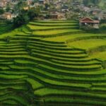 Sapa Half Day Trekking Tour - The Practicalities
