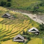 Sapa Muong Hoa Valley Trekking Stunning Rice Terraces - What’s Included and What’s Not