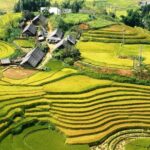 Sapa No-Trek Escape: Ta Van Village, Muong Hoa Valley, Spa & Café - The Sum Up