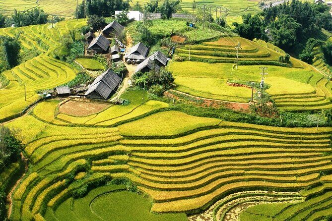 Sapa No-Trek Escape: Ta Van Village, Muong Hoa Valley, Spa & Café - The Sum Up