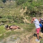 Sapa Scenic Journey at Terraced Fields and Local Village Life - What Travelers Say