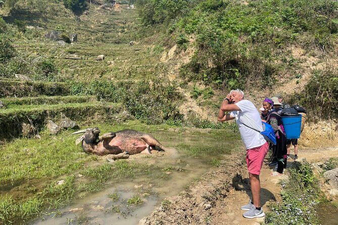 Sapa Scenic Journey at Terraced Fields and Local Village Life - What Travelers Say