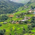 Sapa Trekking Explore Terraced Rice Fields, Ethnic Culture - What Makes This Tour Special?