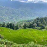 Sapa: Trekking Through Y Linh Ho - Lao Chai & Ta Van Village - The Full Itinerary Breakdown