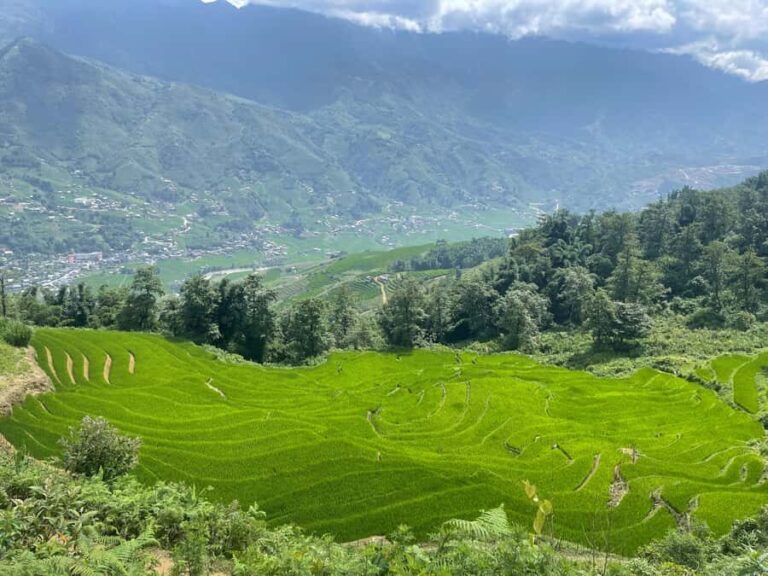 Sapa: Trekking Through Y Linh Ho - Lao Chai & Ta Van Village - The Full Itinerary Breakdown