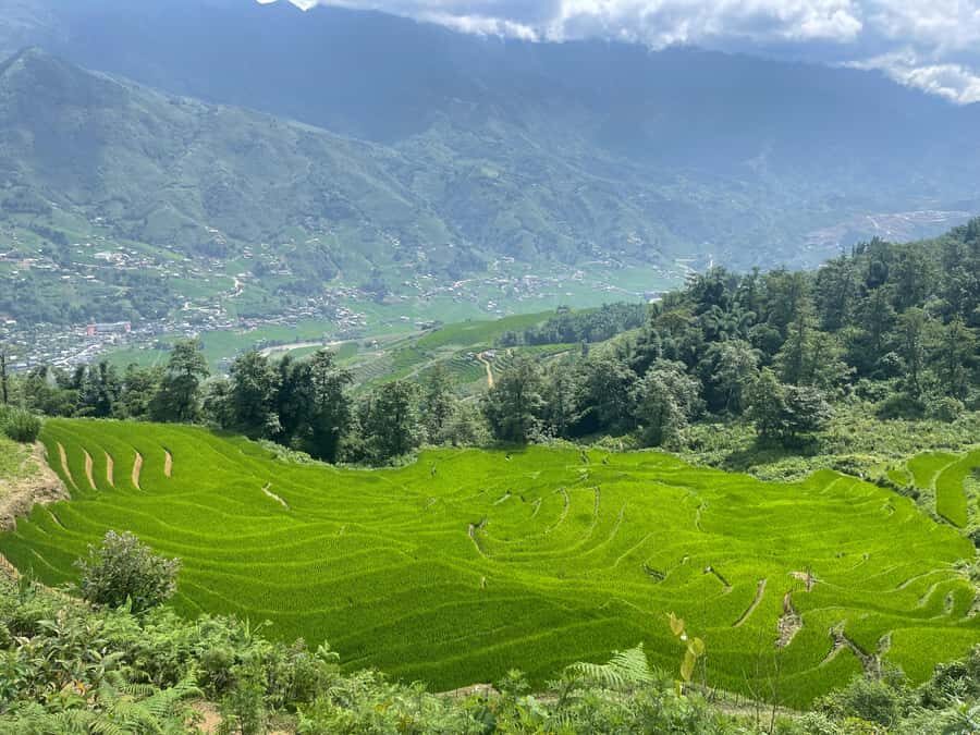 Sapa: Trekking Through Y Linh Ho - Lao Chai & Ta Van Village - The Full Itinerary Breakdown