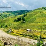 Sapa: Trekking to Y Linh Ho, Lao Chai & Ta Van Villages - What to Expect