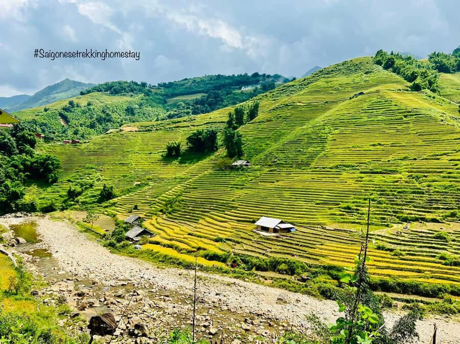 Sapa: Trekking to Y Linh Ho, Lao Chai & Ta Van Villages - What to Expect