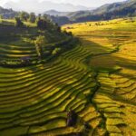 Sapa: Y Linh Ho, Muong Hoa Valley Trek & Village Experience - Exploring Sa Pa’s Iconic Rice Terraces and Highland Villages