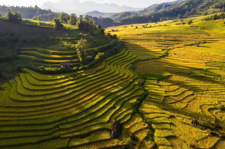 Sapa: Y Linh Ho, Muong Hoa Valley Trek & Village Experience - Exploring Sa Pa’s Iconic Rice Terraces and Highland Villages