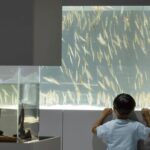 Sapporo AOAO Aquarium Park Hokkaido - Analyzing the Value