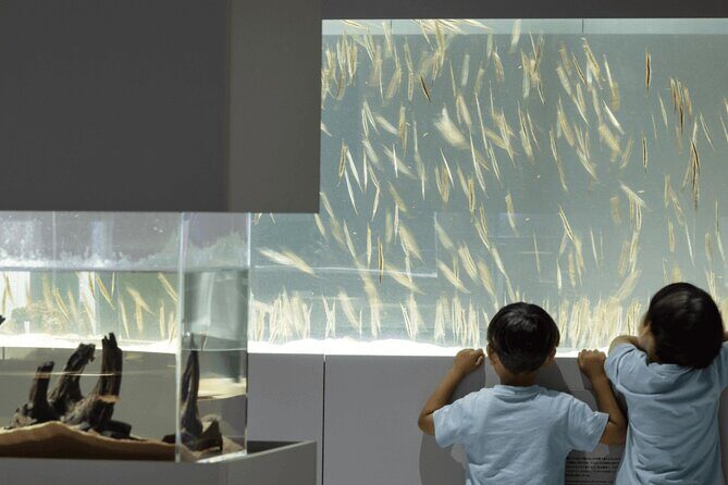 Sapporo AOAO Aquarium Park Hokkaido - Analyzing the Value