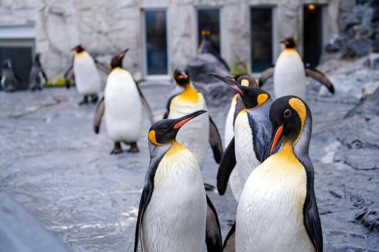 Sapporo: Asahiyama Zoo and Shirahige Falls Trip /w Pickup - What Our Reviewers Say