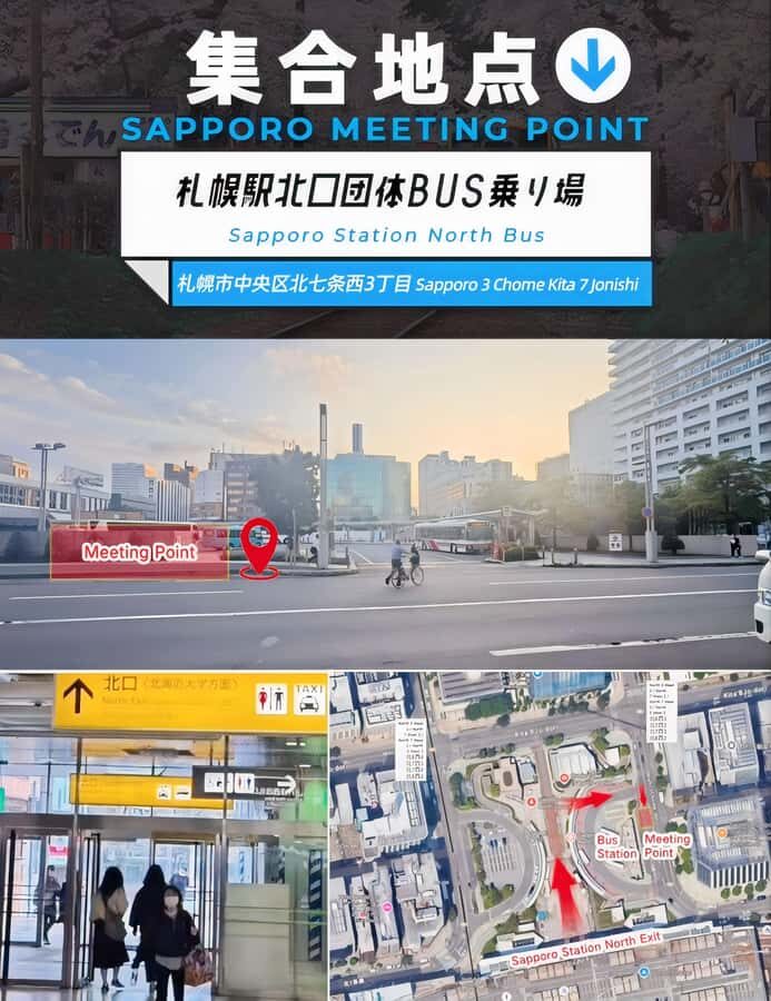 Sapporo: Asahiyama Zoo, Snow Activity, & Ningle Terrace Tour - A Day in Hokkaido: What to Expect and Why It Matters