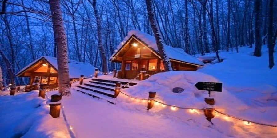 Sapporo: Biei & Furano Private Tour with Hot Spring - The Practicalities