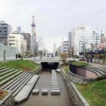 Sapporo: City Center History and Art Walking Tour - Exploring Sapporo’s Retail and Architectural Highlights