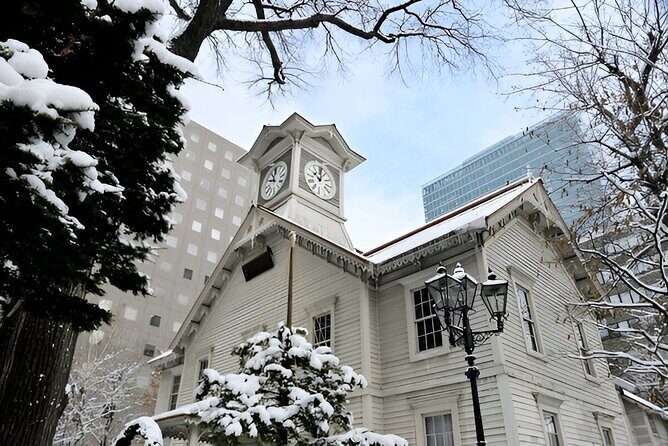 Sapporo City Discovery Private Tour - Who Should Consider This Tour?