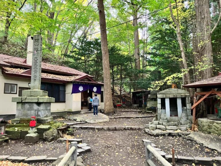 Sapporo: City Highlights & Local Experiences With a Local - Why Choose This Tour?