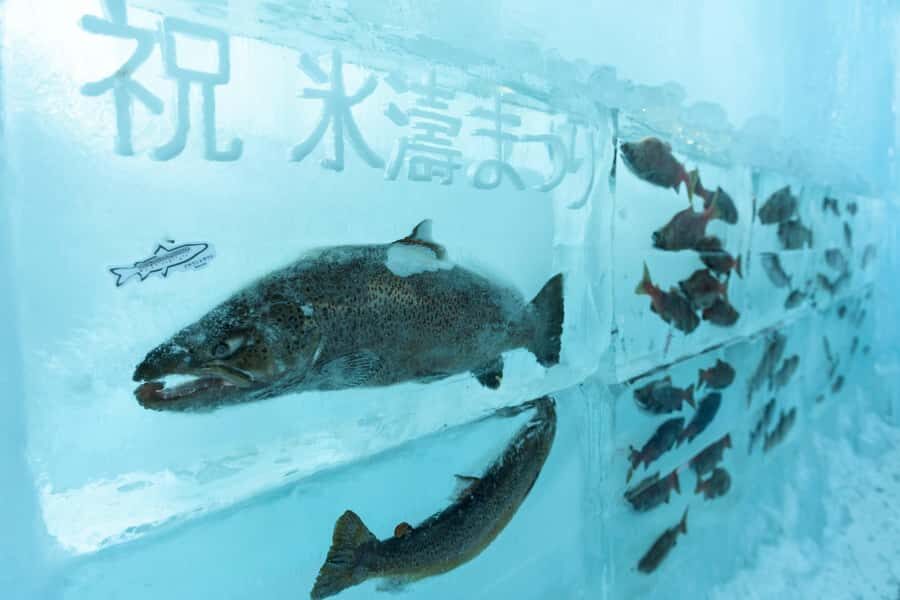 Sapporo departure: Lake Shikotsu Ice Festival Half-Day Tour - Who Should Consider This Tour?