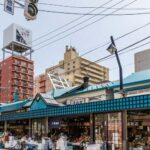 Sapporo: Highlights & Hidden Gems Private Tour with a Local - What You Can Expect on the Tour