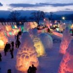 Sapporo: Lake Shikotsu Ice Festival & Hot Spring Day Trip - Practical Details and Value