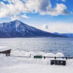 Sapporo: Lake Shikotsu Ice Festival Small-Group Day Tour - What This Tour Means for You