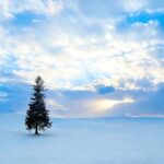 Sapporo Limited: Hokkaido Winter Blue Pond Illumination Tour - Detailed Breakdown of the Stops