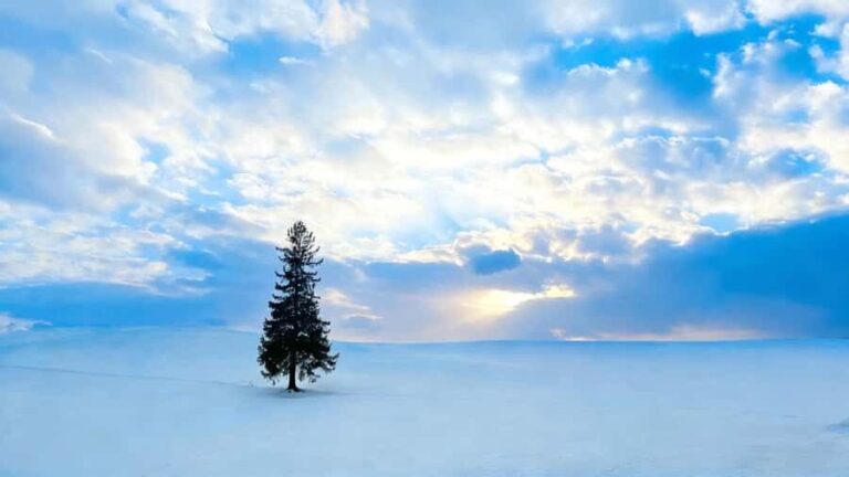 Sapporo Limited: Hokkaido Winter Blue Pond Illumination Tour - Detailed Breakdown of the Stops