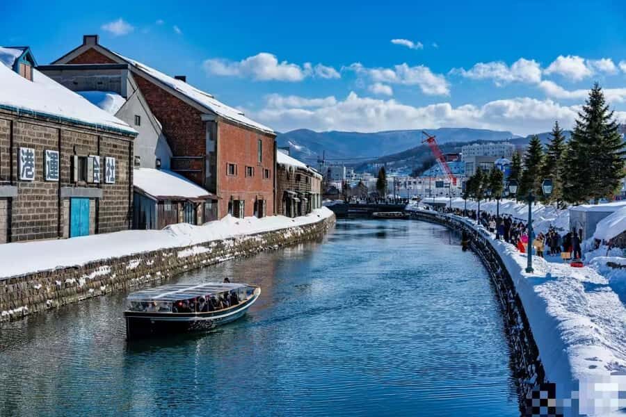 Sapporo: Otaru Day Trip-Mt. Tengu & Aquarium in small group - Practical Insights and Value