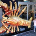 Sapporo: Private Fish Markets and City Highlights Tour - Practical Tips for Travelers