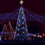 Sapporo Private Walking Christmas Market and Illumination Tour - What’s Included and What’s Not