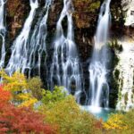 Sapporo to Blue Pond & Shirahige Falls Furano Private Tour - What’s Included and What to Consider