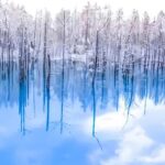 Sapporo:Asahiyama Zoo,Shirahige Waterfall&Blue Pond Day Trip - Itinerary Breakdown